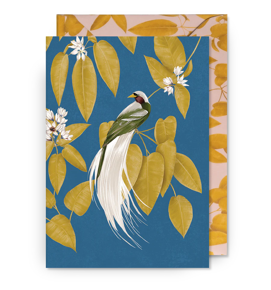 Bird of Paradise Card – Lark London